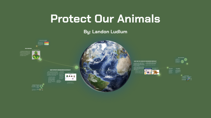Protect Our Animals by LANDON LUDLUM on Prezi