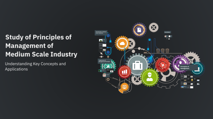 Study of Principles of Management of Medium Scale Industry by Jay Bhise ...