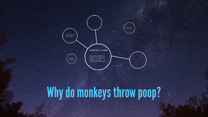 Why do monkeys throw poop? by MELISA adj on Prezi