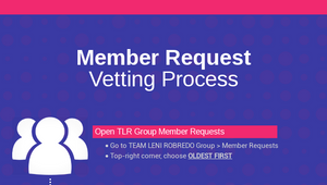 Vetting Process by Ash on Prezi Design
