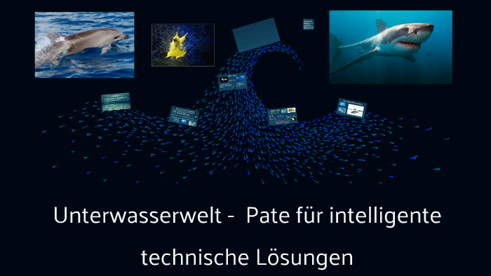 Unterwasserwelt - Pate für intelligente technische Lösungen by Luisa ... Unterwasserwelt - Pate für intelligente technische Lösungen by Luisa ...