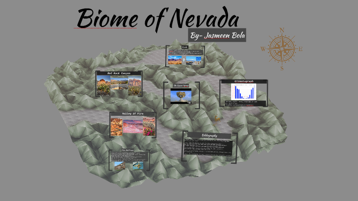 Biome of Nevada by jasmeen bola on Prezi