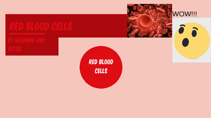 Pete and Gio science Presintation by Peter Mellos on Prezi