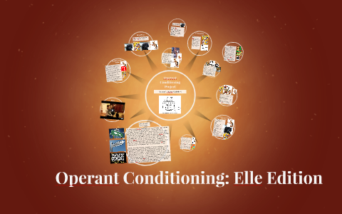 Operant Conditioning Project by Mattie Sorge