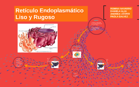 Retículo Endoplásmico Liso y Rugoso by veronica moya on Prezi