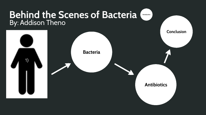 Bacteria Final Model by Addison Theno on Prezi