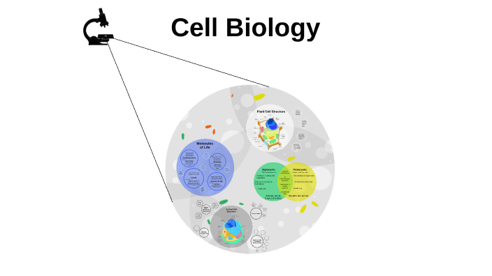 Cell Biology Bio 50 by Kiana Bencharski on Prezi