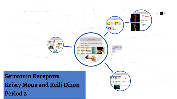 Seratonin Receptors by Kristy Moua on Prezi