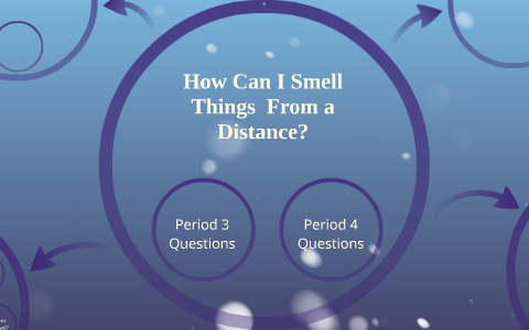 How Can I Smell Things From a Distance? by Jesse Weiss on Prezi