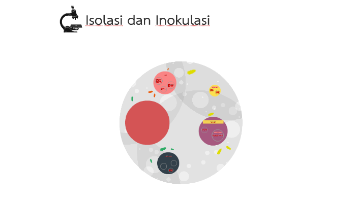 Isolasi dan Inokulasi by Hanadya Salsabila on Prezi