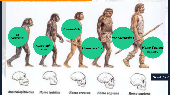 o homem pré histórico by PAULO SERGIO PINHEIRO PINHEIRO on Prezi