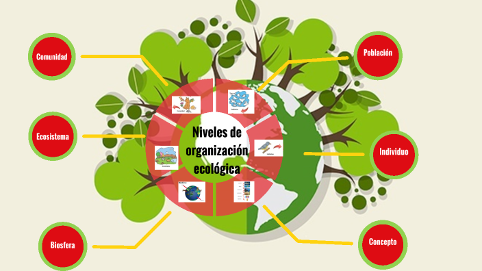 Niveles de organización ecológica by Luz Alzamora on Prezi