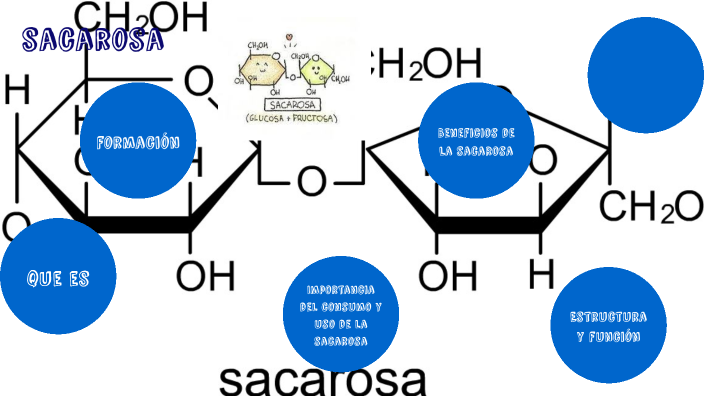 sacarosa by Sebas killer XD on Prezi