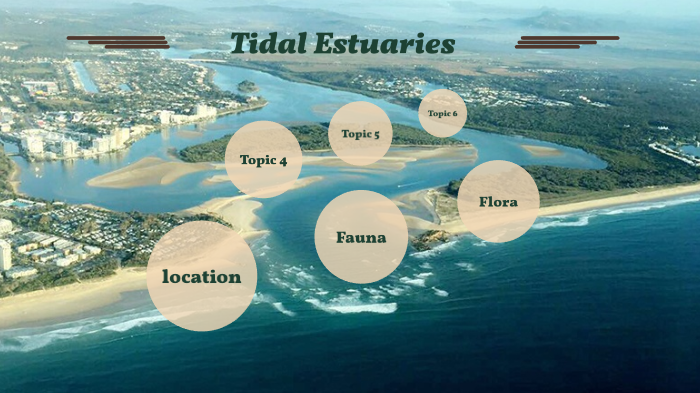 estuary tidal areas by Isabel Ruckle on Prezi