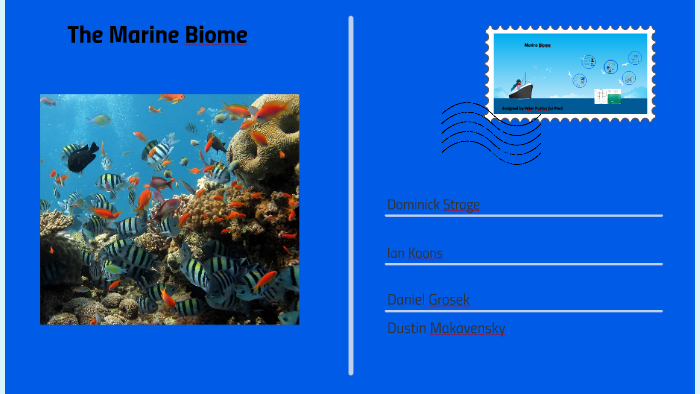 Marine Biome Project by Dominick S. on Prezi