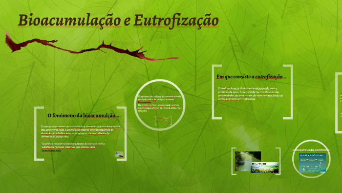 Bioacumulação e Eutrofização by Francisca Natacha on Prezi
