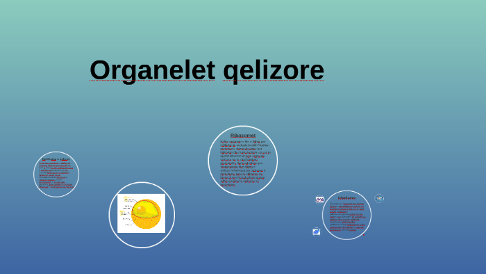 organelet qelizore by argjent avdiu on Prezi
