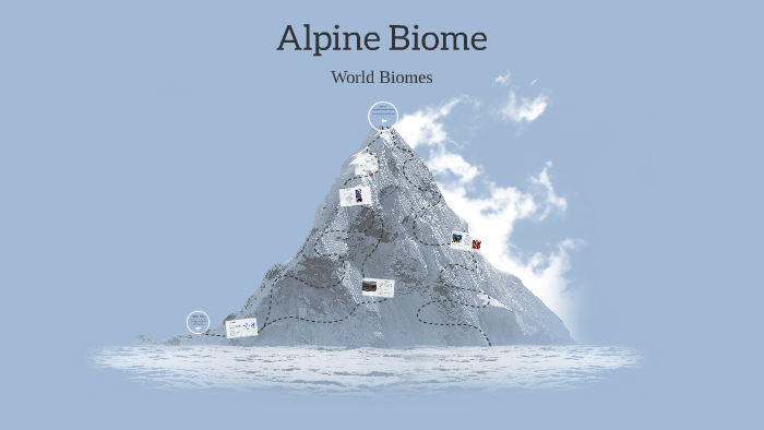 Alpine Biome by Emily VonCannon on Prezi