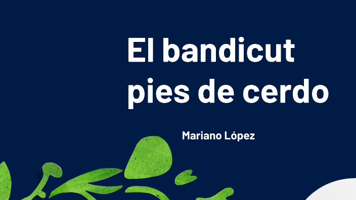 El Bandicut pies de cerdo by Mariano López del Solar on Prezi