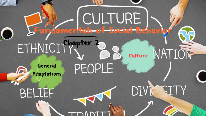 2) Fundamentals of Social Behavior by E. Casa de Calvo on Prezi