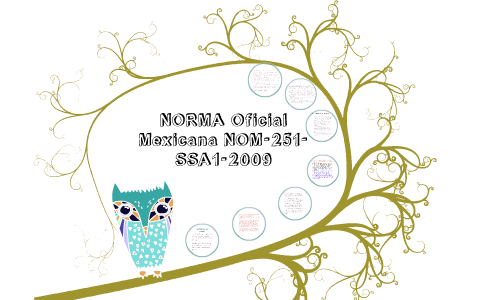 NORMA Oficial Mexicana NOM-251-SSA1-2009 by Manuel Iram Gomez on Prezi