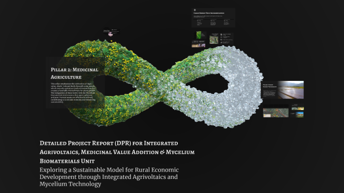 Detailed Project Report (DPR) for Integrated Agrivoltaics, Medicinal ...