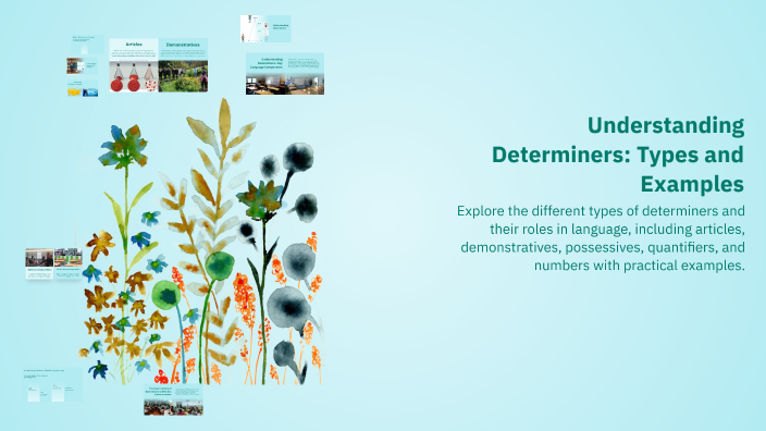 Understanding Determiners: Types and Examples by JEREMY ROE on Prezi