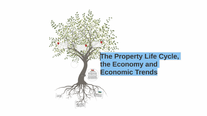 The Property Life Cycle, the Economy and Government policies by millie ...