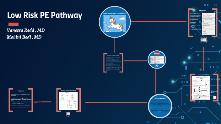 Low risk PE by Mohini Bedi on Prezi