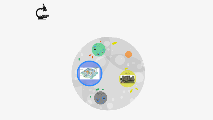 The Immune System is like a Castle... by Gracie N on Prezi