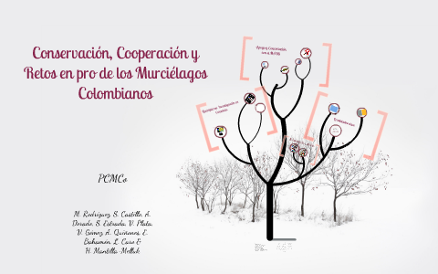 PCMCo - Cooperación by Santiago Castillo on Prezi