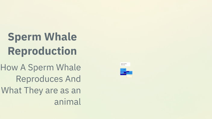 Sperm Whale Reproduction by Micah Venosdel on Prezi