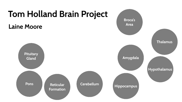 Brain Project by Alaine Moore on Prezi