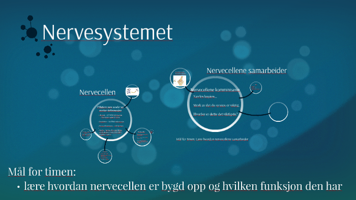 Nervecellen by on Prezi