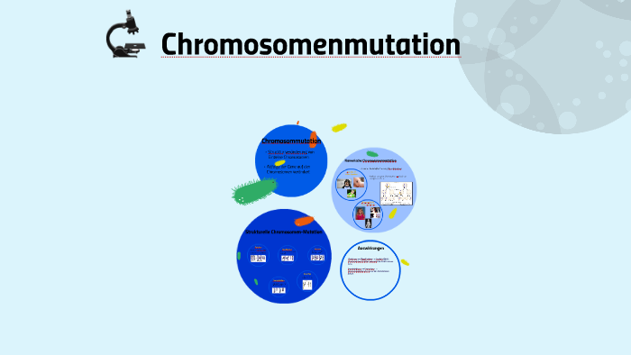 Chromosomenmutation by Liz Naomi on Prezi
