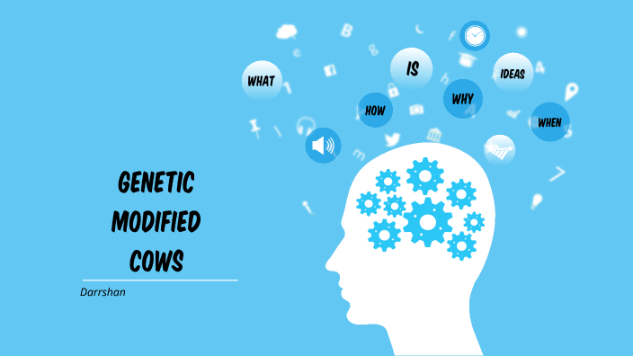 Genetically modified cows by Darrshan Suresh Kumar on Prezi