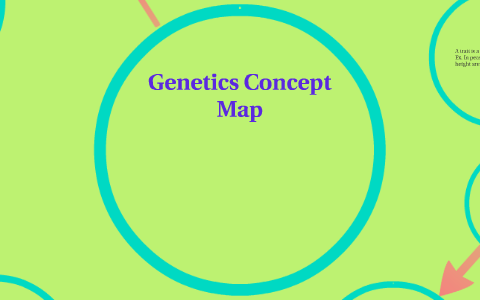 Genetics Concept Map by Noah Suris on Prezi