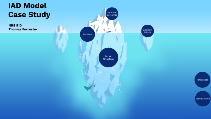 IAD Model by Tom Forrester on Prezi