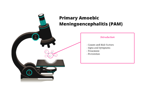 Primary Amoebic Meningoencephalitis by Jamie Davis on Prezi