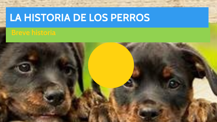 la historia de perros by alisson tovar on Prezi