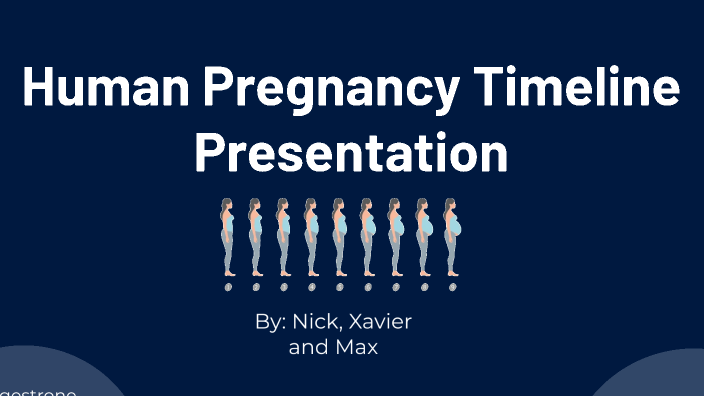 Pregnancy Project Bio 30 by Xavier Irvine on Prezi