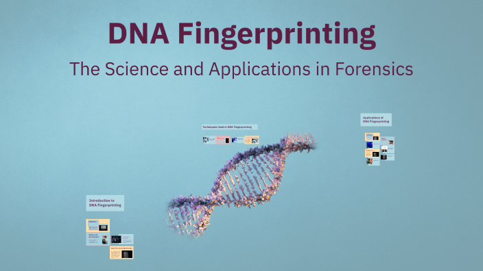 DNA Fingerprinting by SUJAL CHAUHAN on Prezi