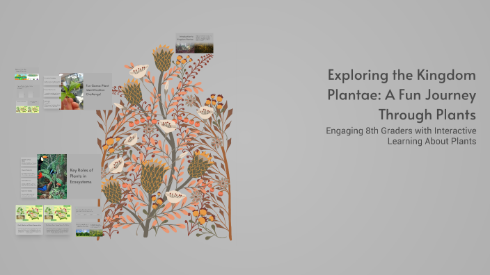 Exploring the Kingdom Plantae: A Fun Journey Through Plants by ZAIDA ...