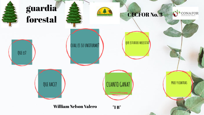 guardia forestal by William Nelson Valero on Prezi