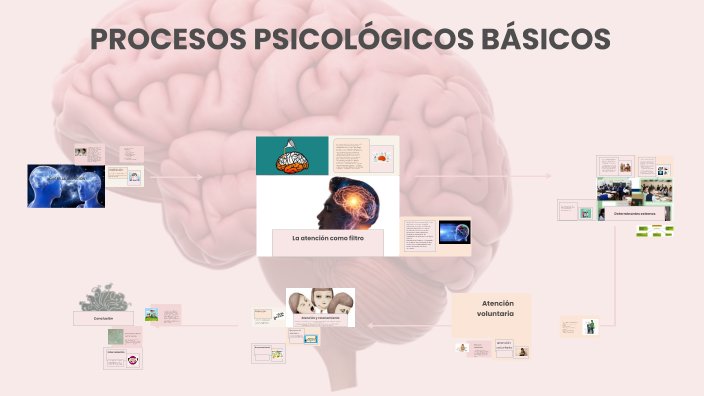 PROCESOS PSICOLÓGICOS BÁSICOS by VANIA YAMILET RAMIREZ PEREZ on Prezi