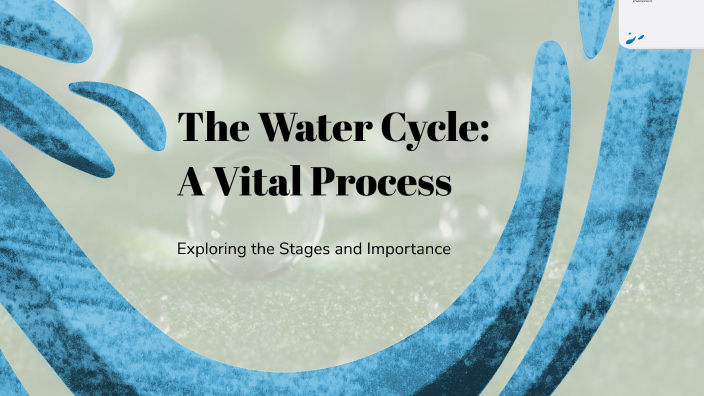 The Water Cycle: A Vital Process by Megan Thomas on Prezi