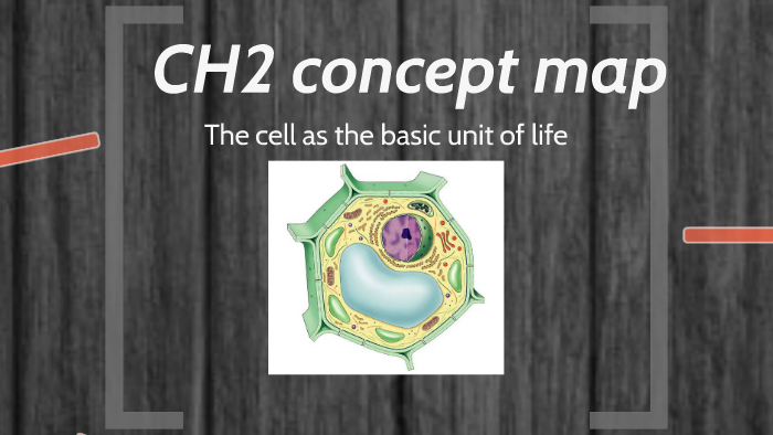 Bio Ch2 Concept map by Wing Lam Ng