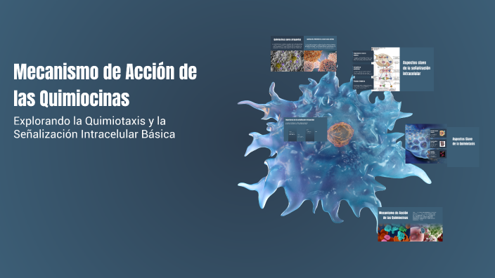 Mecanismo de Acción de las Quimiocinas by Evans on Prezi