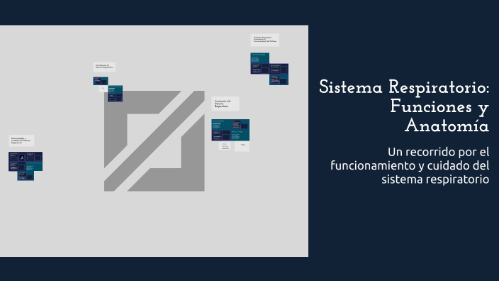 Sistema Respiratorio: Funciones y Anatomía by Levi Escobar on Prezi