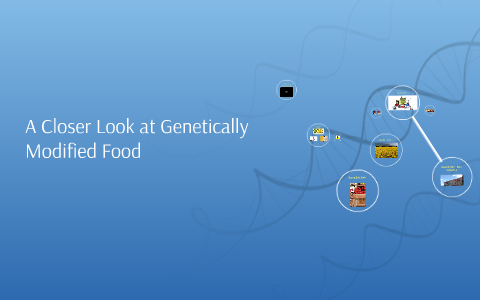 A Closer Look at Genetically Modified Food by Colleen Bernal on Prezi